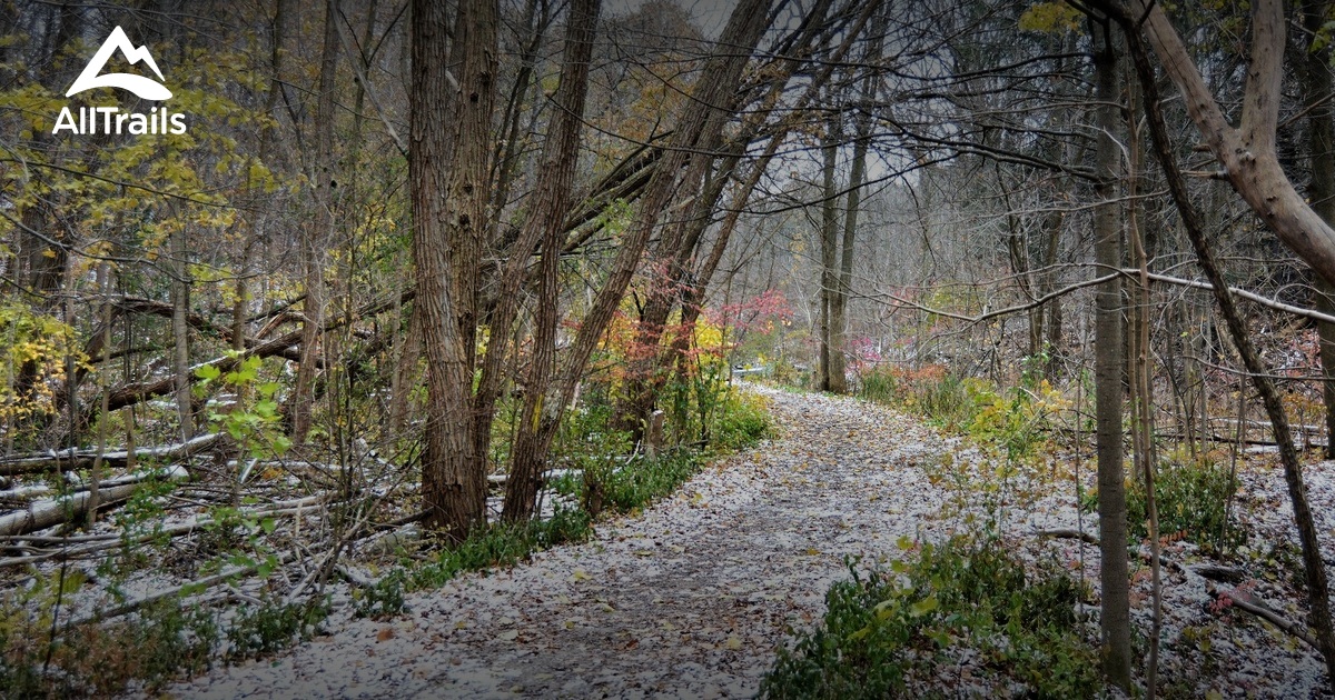 Best hikes and trails in Newtonbrook Creek Park | AllTrails
