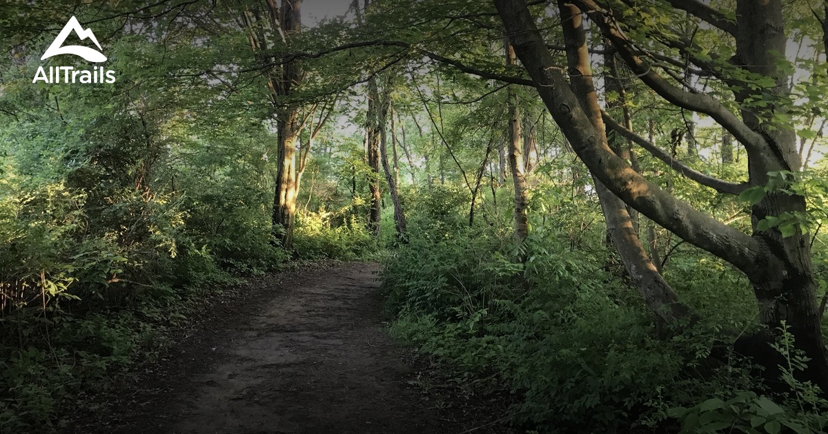Best hikes and trails in Silver Creek Metro Park | AllTrails