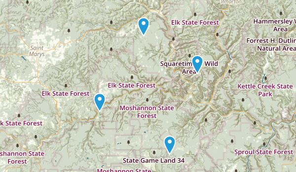 Best Trails in Elk State Forest - Pennsylvania | Photos & Reviews ...