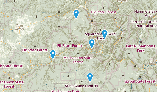 Best Trails in Elk State Forest - Pennsylvania | AllTrails
