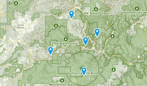 Best Trails in Elk State Forest - Pennsylvania | AllTrails