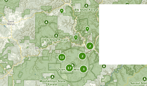 Best Trails in Elk State Forest - Pennsylvania | AllTrails