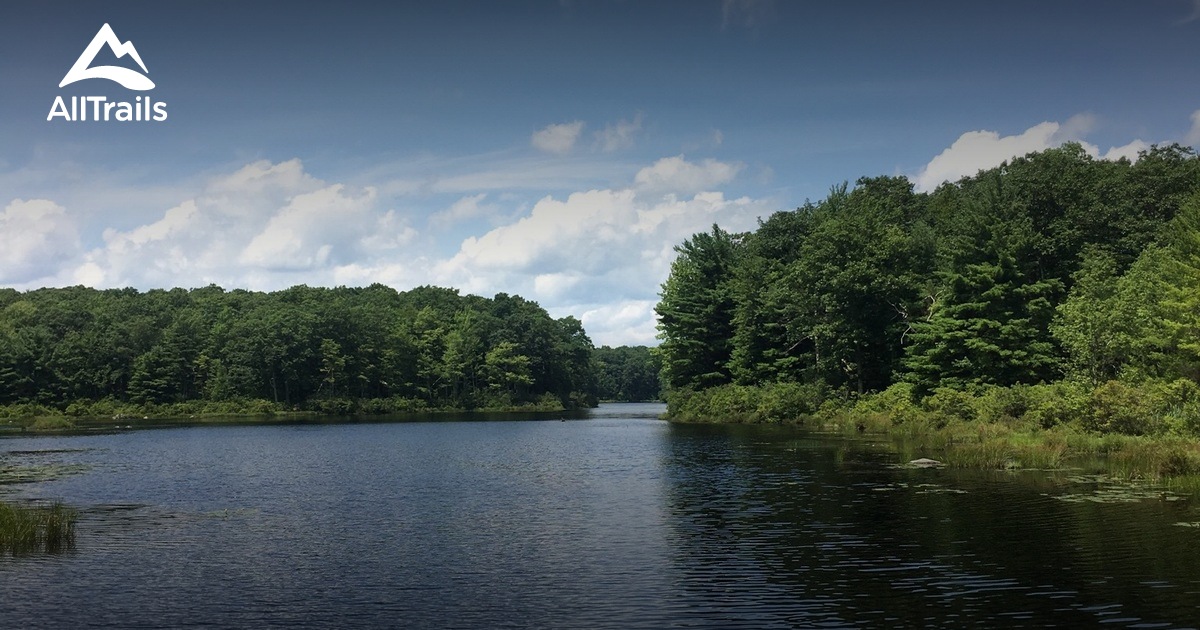 Best hikes and trails in Bruce Lake Natural Area | AllTrails