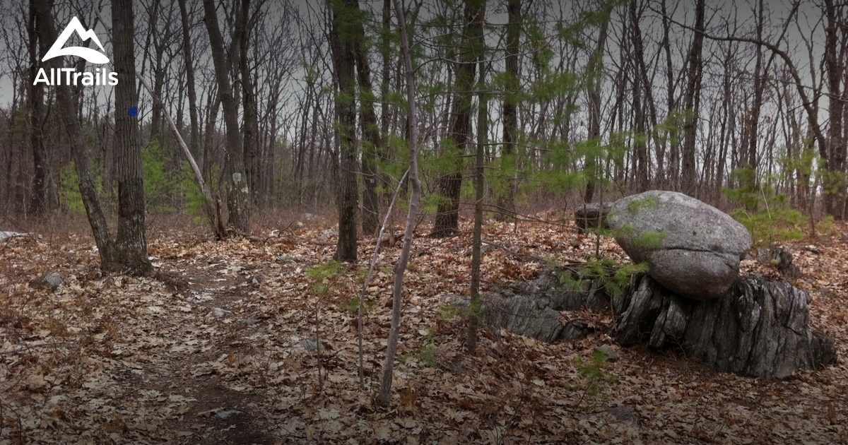 Best hikes and trails in Carlstrom Ii Memorial Forest | AllTrails