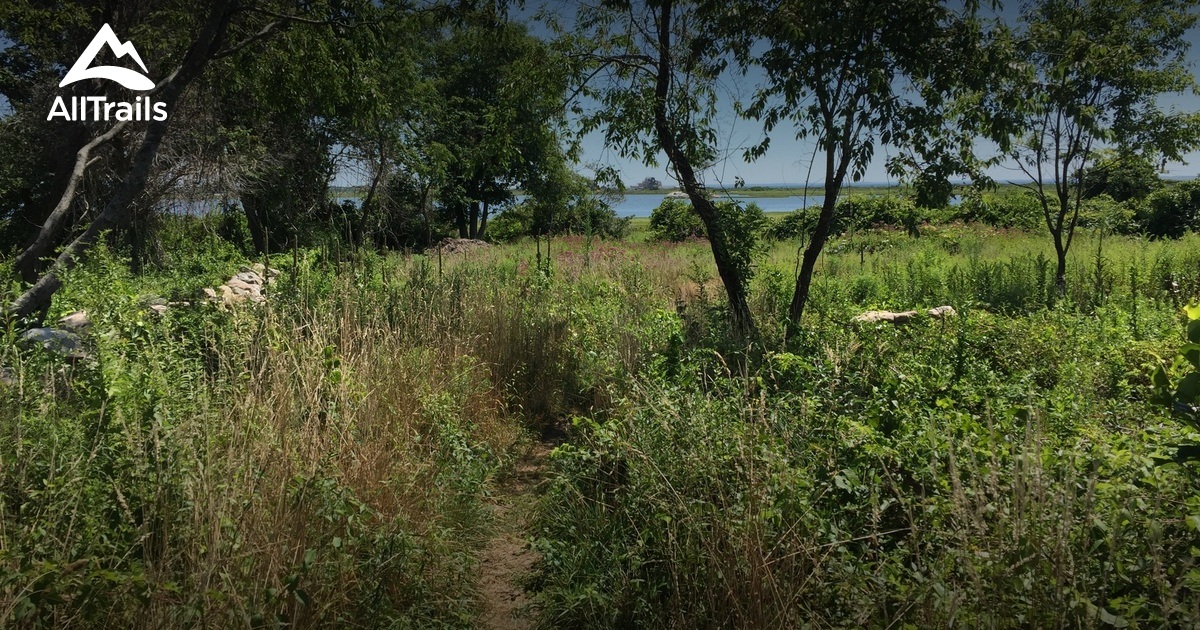 Los mejores senderos con lago en Allens Pond Wildlife Sanctuary | AllTrails