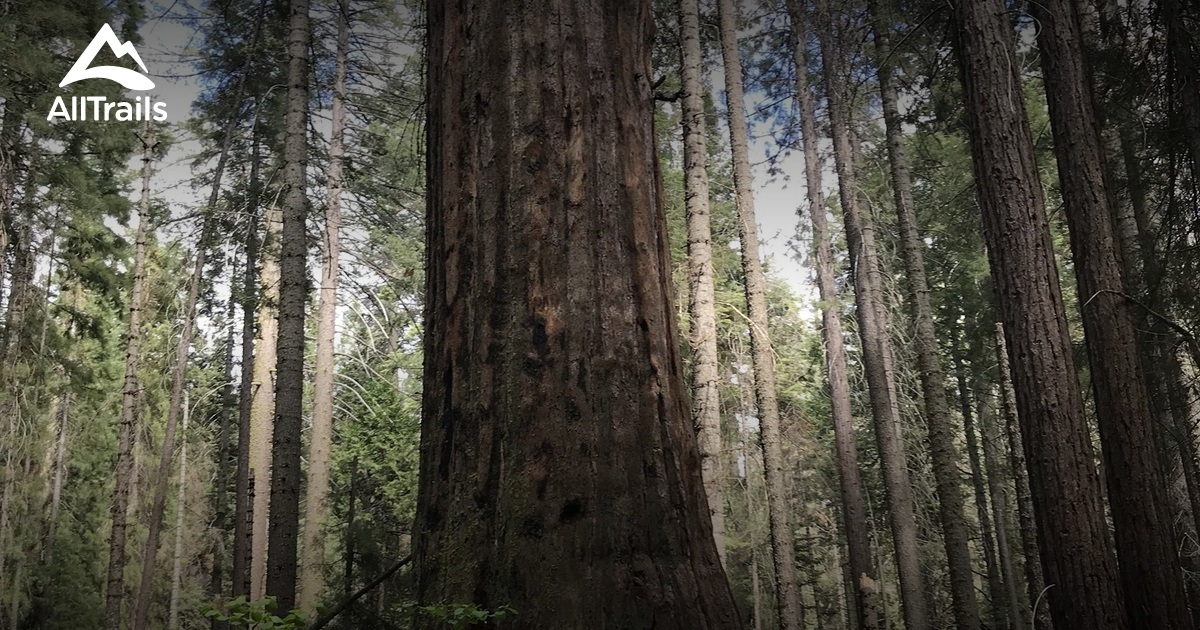 Best river trails in Nelder Grove Historical Area | AllTrails