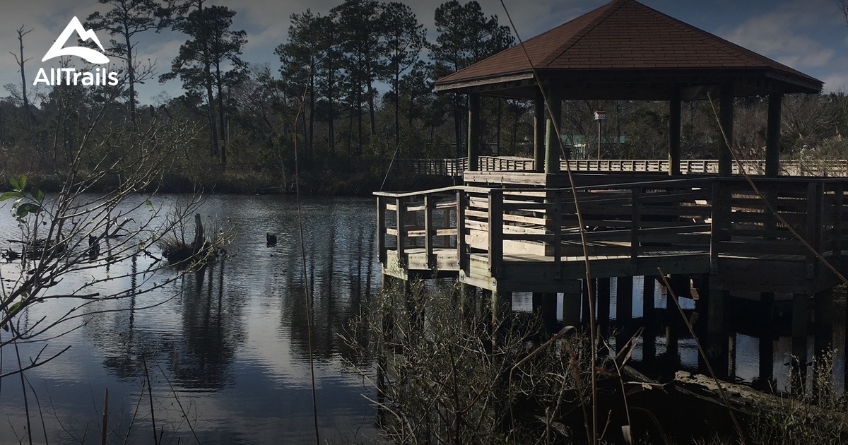 Die Besten Kurzen Routen in Kitty Hawk Woods Coastal Preserve | AllTrails