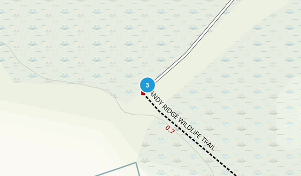 Best Trails in Alligator River National Wildlife Refuge - North ...