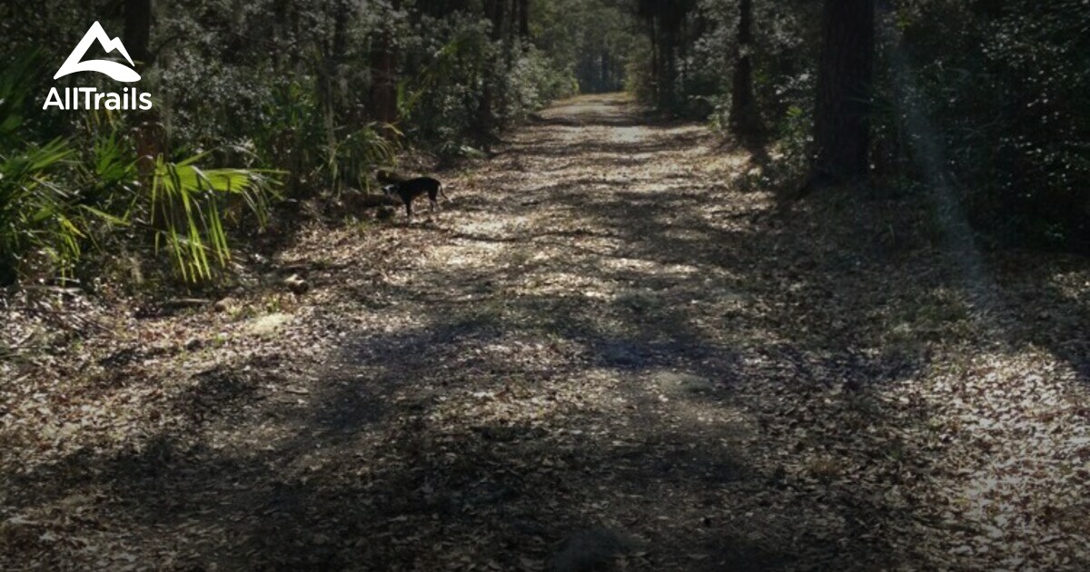 Best hikes and trails in Victoria Bluff Heritage Preserve | AllTrails