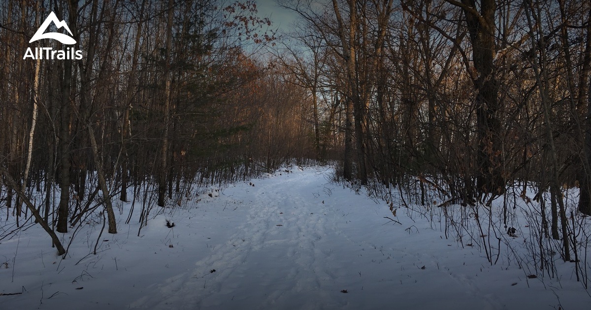 Best hikes and trails in Navarino State Wildlife Area | AllTrails