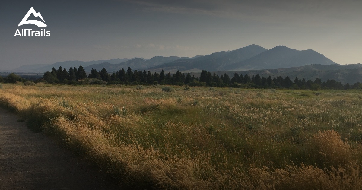Best hikes and trails in Burke Park | AllTrails