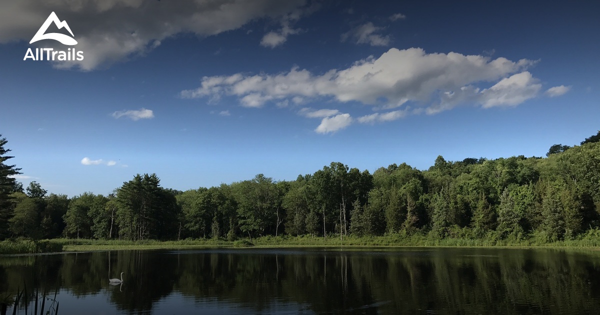 Best hikes and trails in Shadow Lake | AllTrails