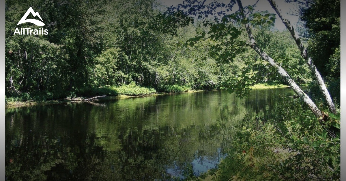 Best hikes and trails in Hirundo Wildlife Refuge | AllTrails