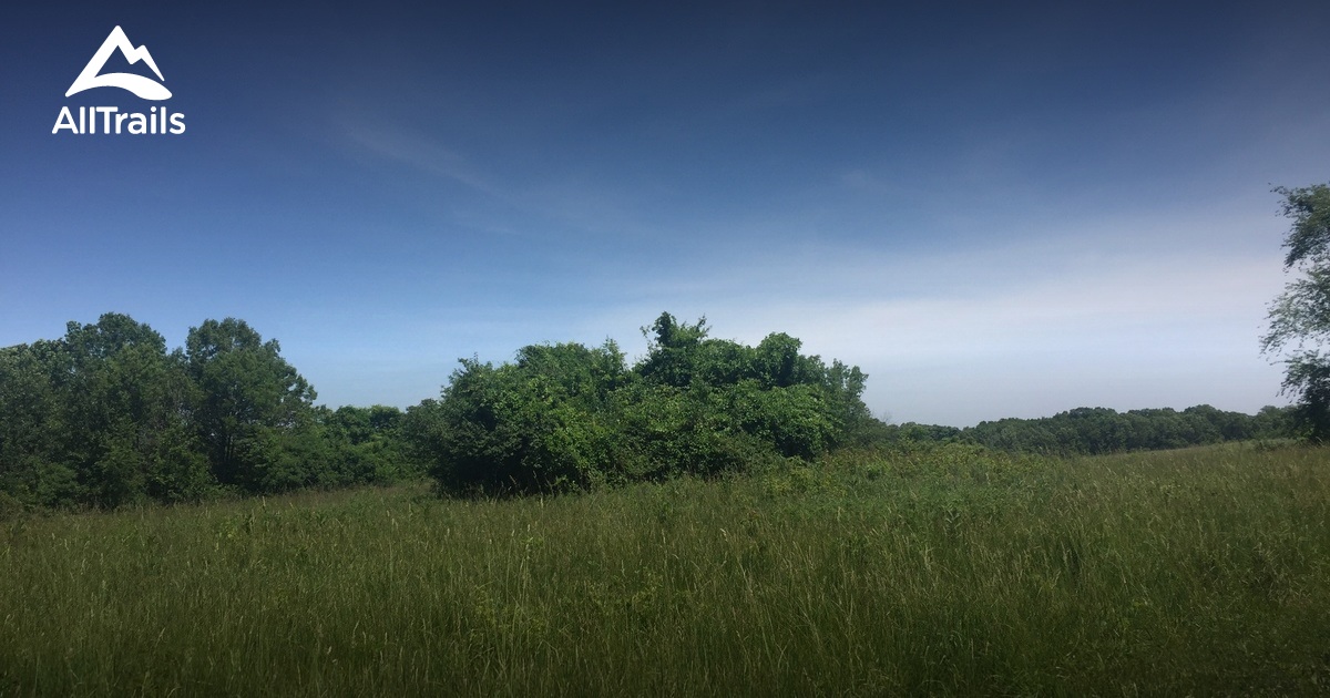 Best Trails in Red Gate Woods - Illinois | AllTrails