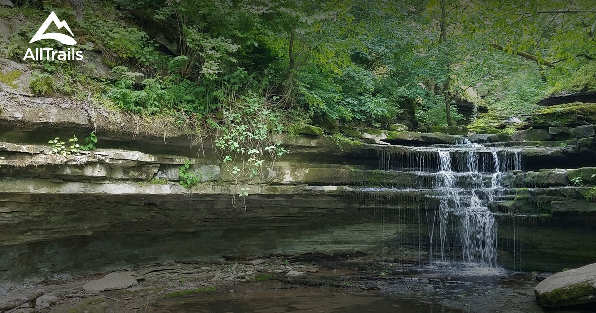 Best Trails in Jessamine Creek Gorge Nature Preserve - Kentucky | AllTrails