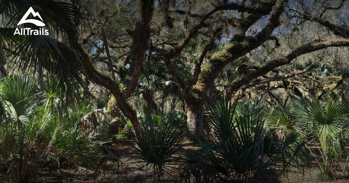 Best hikes and trails in Lake Monroe Conservation Area | AllTrails