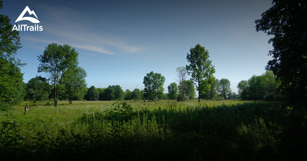 Best hikes and trails in Fort Daniel Conservation Area | AllTrails