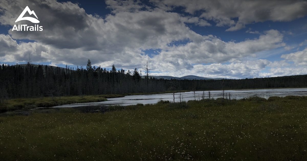 Best hikes and trails in Wenlock Wildlife Management Area | AllTrails