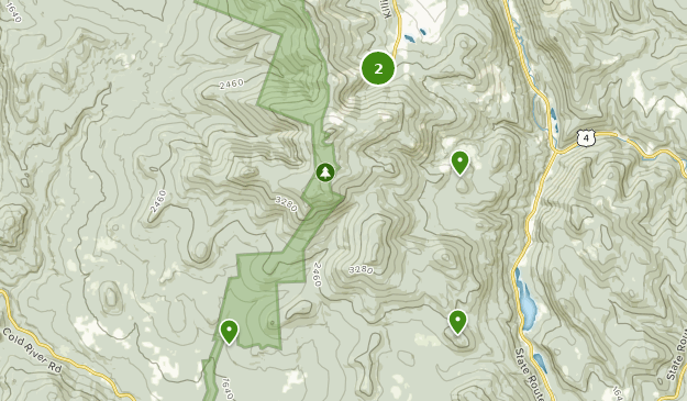 Best Trails in Calvin Coolidge State Forest - Vermont | AllTrails