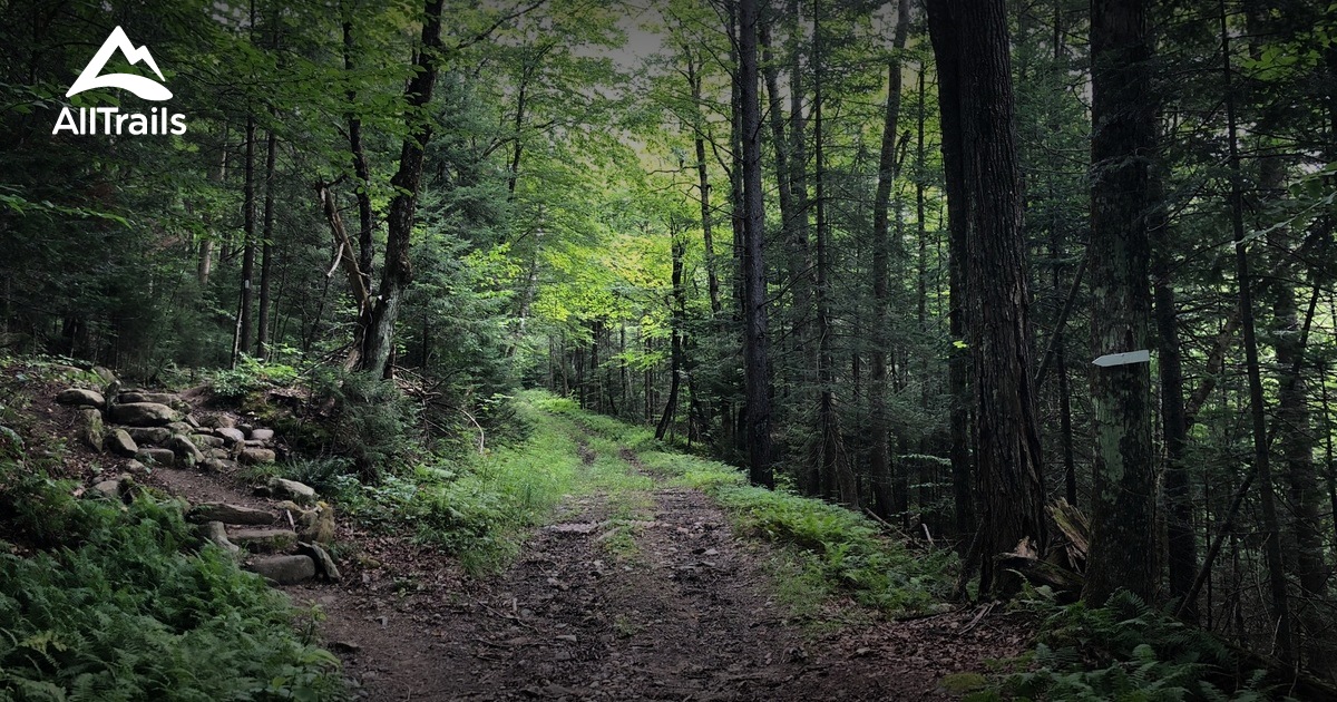 Best Trails in Calvin Coolidge State Forest - Vermont | AllTrails