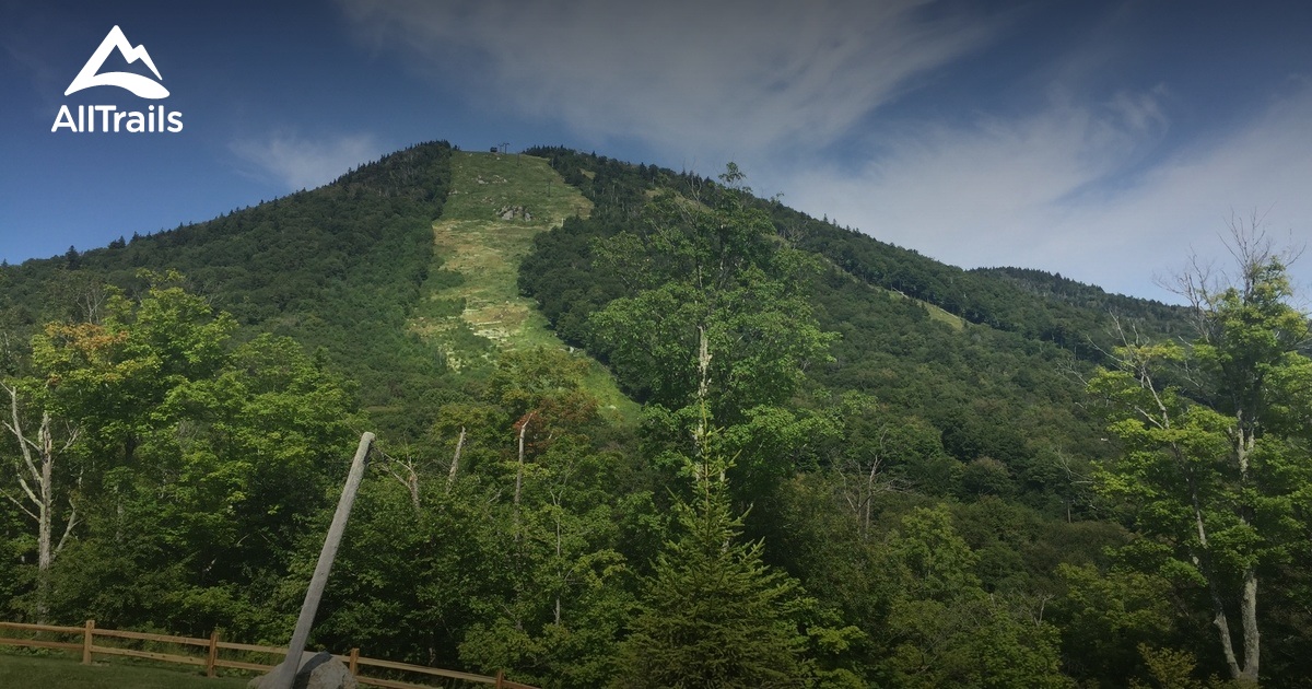 Best Trails in Calvin Coolidge State Forest - Vermont | AllTrails