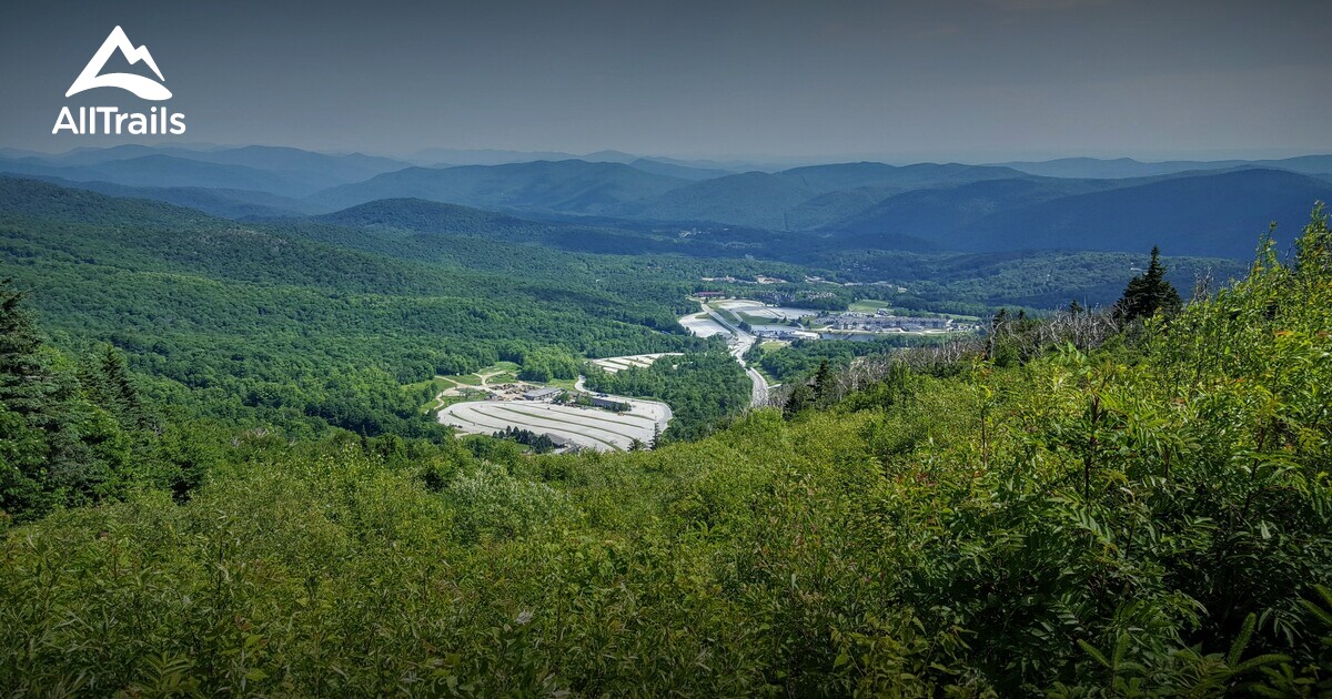 De beste stiene for hunder i bånd i Calvin Coolidge State Forest ...