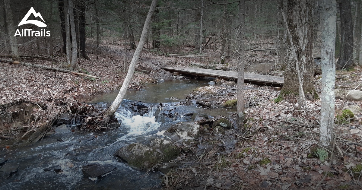 Best hikes and trails in Black Brook Preserve | AllTrails