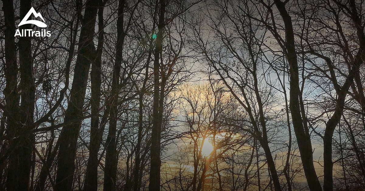 Best Trails in Sand Dunes State Forest - Minnesota | AllTrails