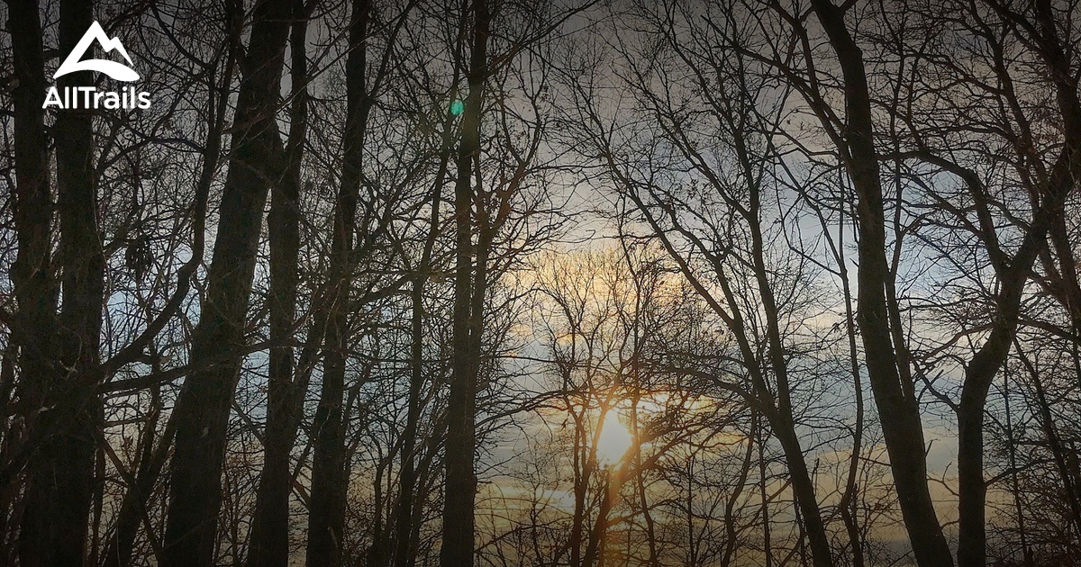 Die Besten Seewege in Sand Dunes State Forest | AllTrails