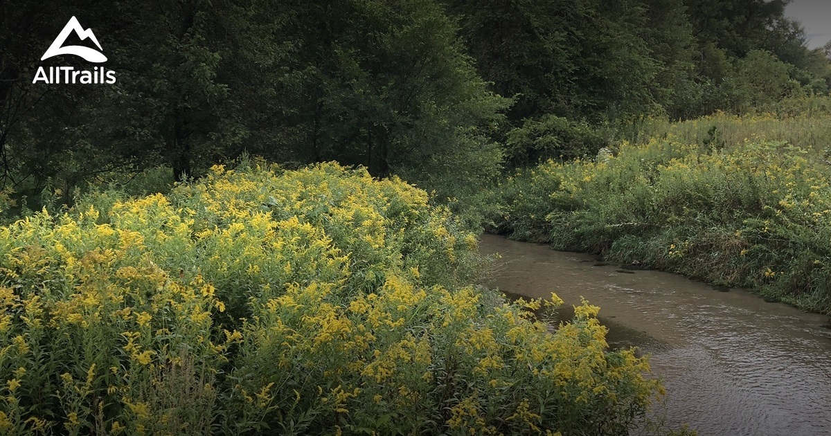 Best hikes and trails in Miesville Ravine Park Reserve | AllTrails