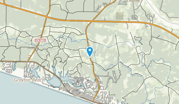 Best Trails in Point Washington State Forest - Florida | AllTrails