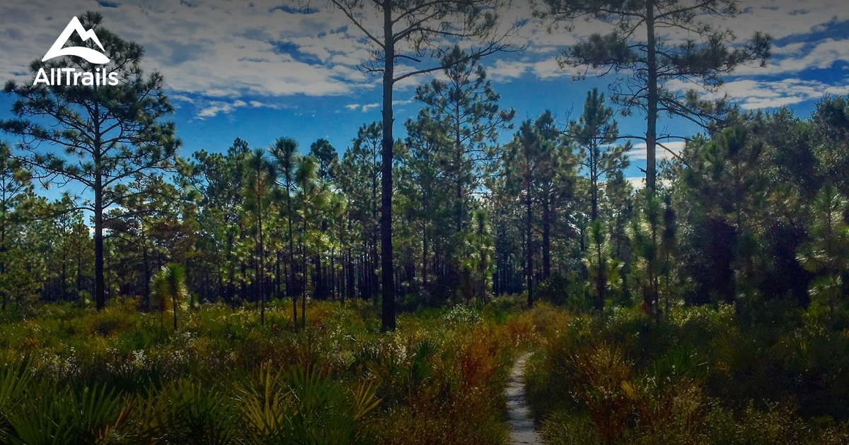 Best Trails in Point Washington State Forest - Florida | 23 Photos & 32 ...