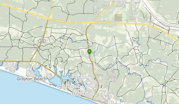 Best Trails in Point Washington State Forest - Florida | AllTrails