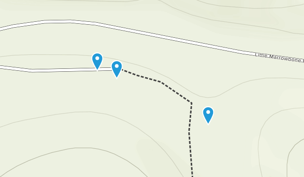 Best Trails in Beaman Park - Tennessee | AllTrails