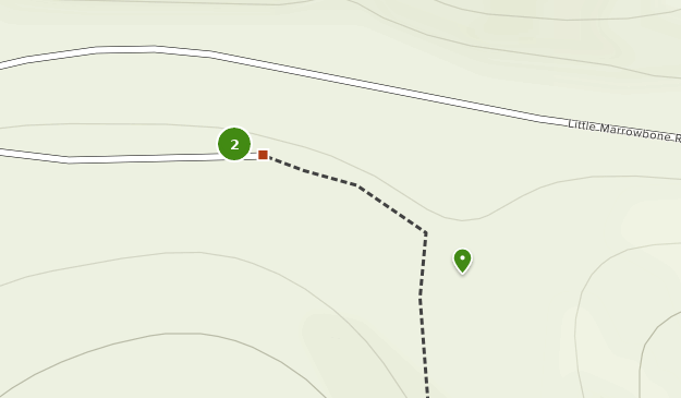 Best Trails in Beaman Park - Tennessee | AllTrails