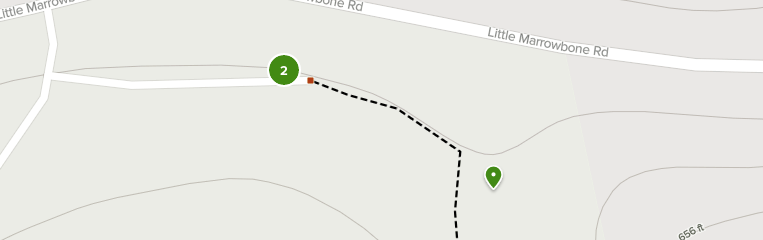 Best Trails in Beaman Park - Tennessee | AllTrails