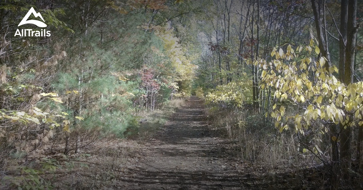 Best hikes and trails in Fred Russ State Forest | AllTrails