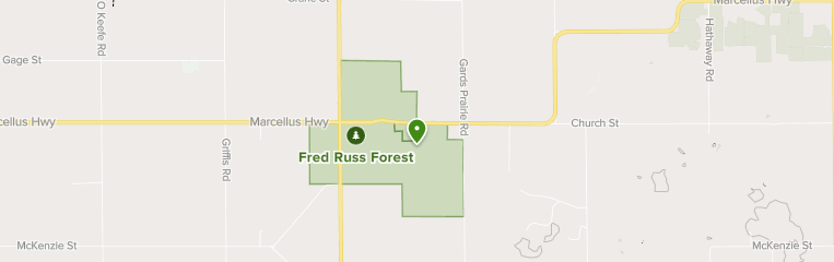 Best Hikes and Trails in Fred Russ State Forest | AllTrails
