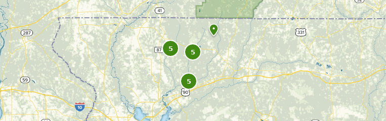 Best Trails in Blackwater River State Forest - Florida | AllTrails