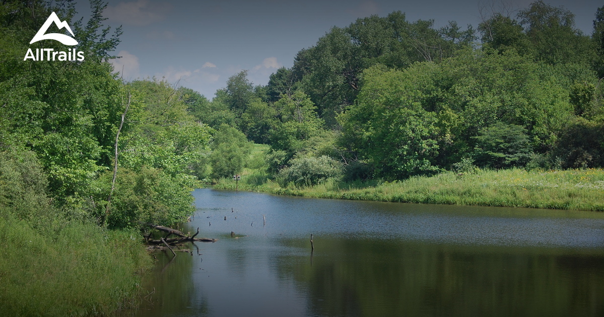 Best hikes and trails in F.W. Kent County Park | AllTrails