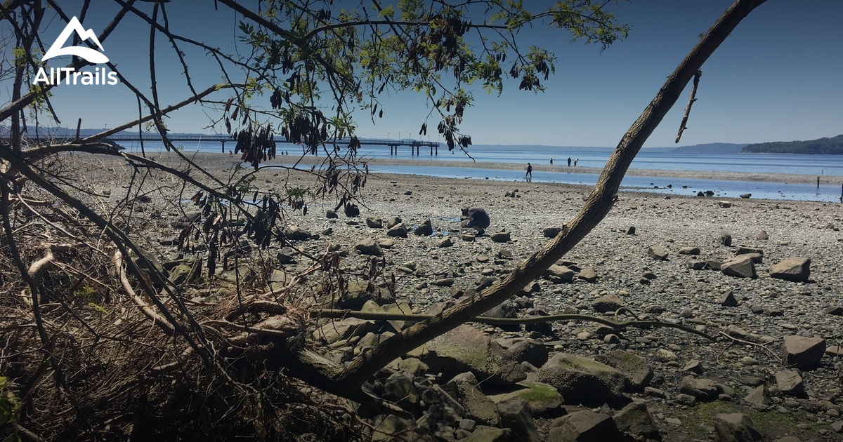 Best hikes and trails in Marine View Park | AllTrails