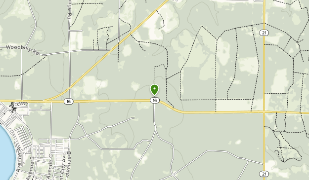 Best Trails in Belmore State Forest Satsuma Tract - Florida | AllTrails