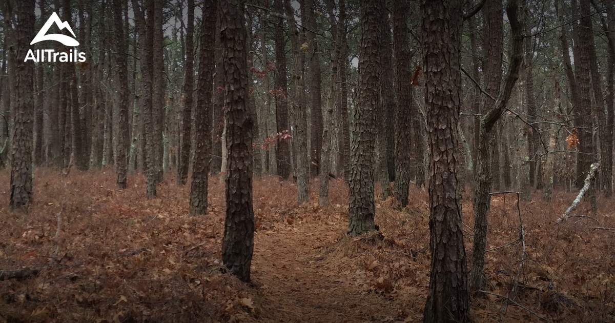 Best hikes and trails in West Chop Woods | AllTrails