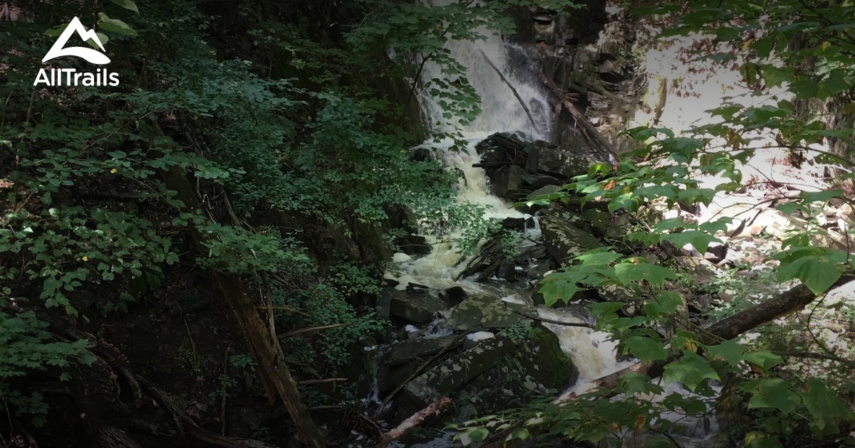 Best hikes and trails in Turkey Point State Forest | AllTrails