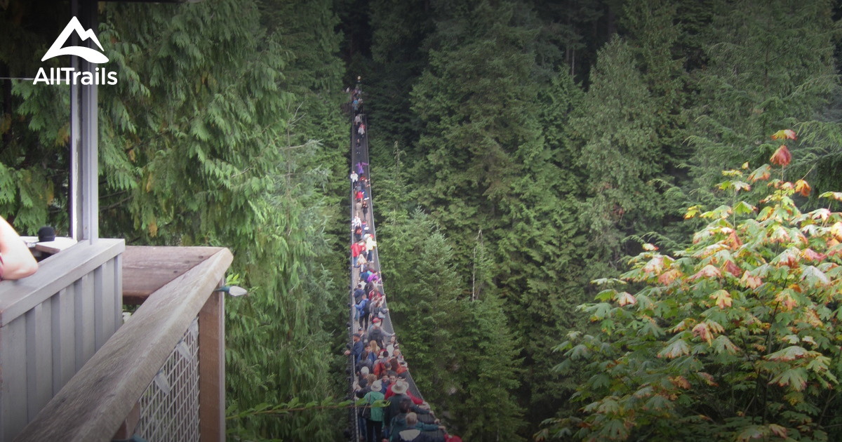 Best Trails in Capilano Suspension Bridge Park - British Columbia ...