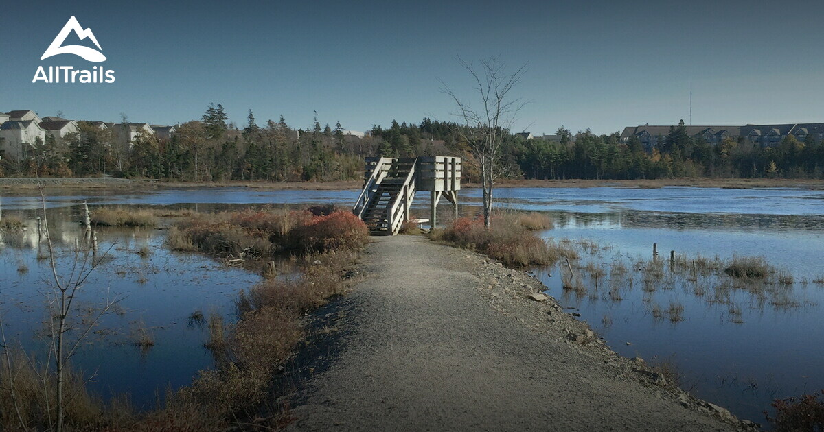 Best hikes and trails in Belcher's Marsh Park | AllTrails