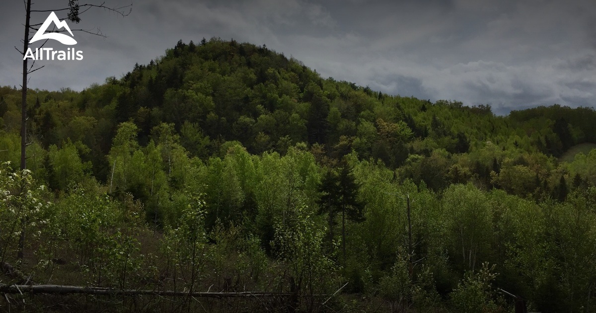 Best hikes and trails in Mapleton Acadian Forest Nature Preserve ...