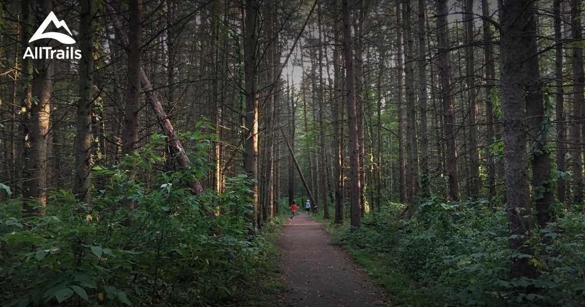 Best Trails in Harris Nature Center - Michigan | AllTrails
