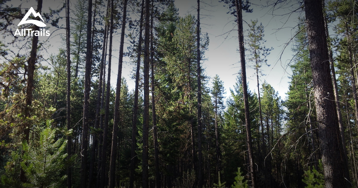 Best hikes and trails in Moyie Lake Provincial Park | AllTrails