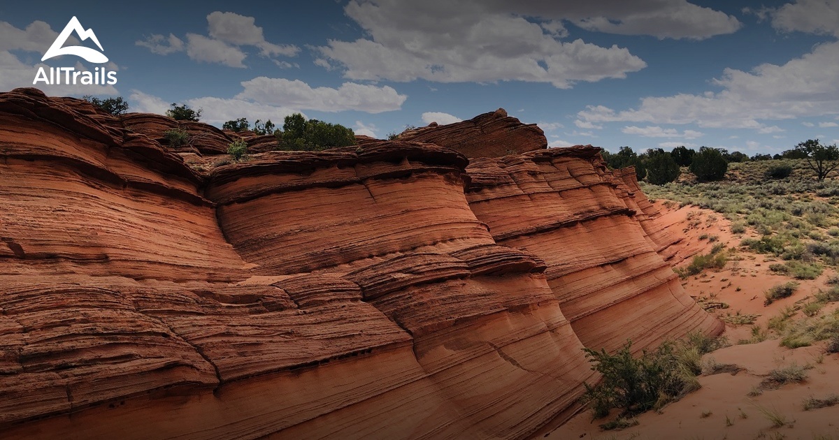Best Trails in Coyote Buttes South - Arizona | AllTrails